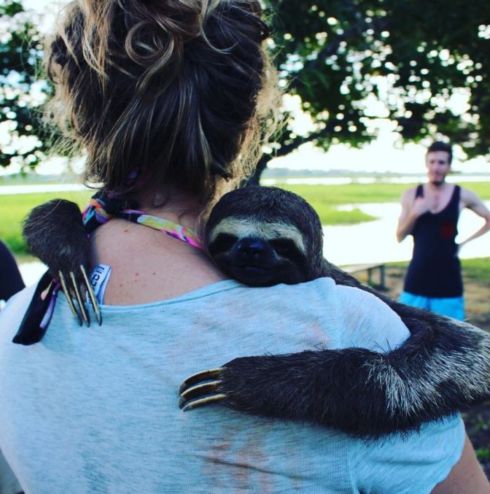Minute tendresse : 20 animaux beaucoup trop câlins qui vont vous faire ...
