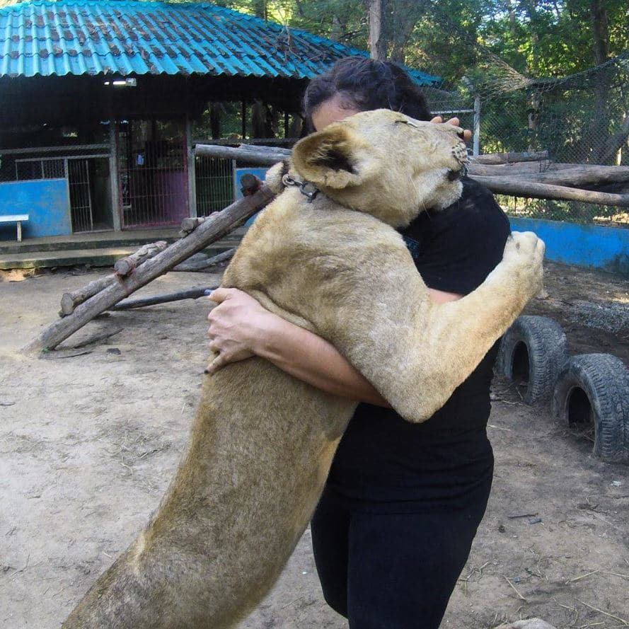 Minute tendresse : 20 animaux beaucoup trop câlins qui vont vous faire ...