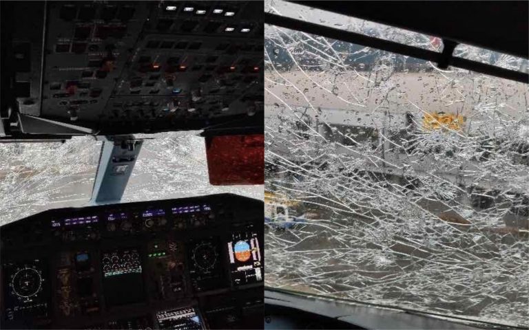 Met Gala : Un cafard s'invite sur le tapis rouge et vole la vedette aux ...