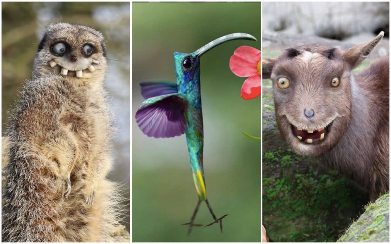 Un artiste transforme les dessins de ses enfants en photo et c'est ...
