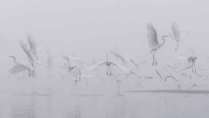 Ces photographes ont capturé des moments de vie incroyables, vous allez ...