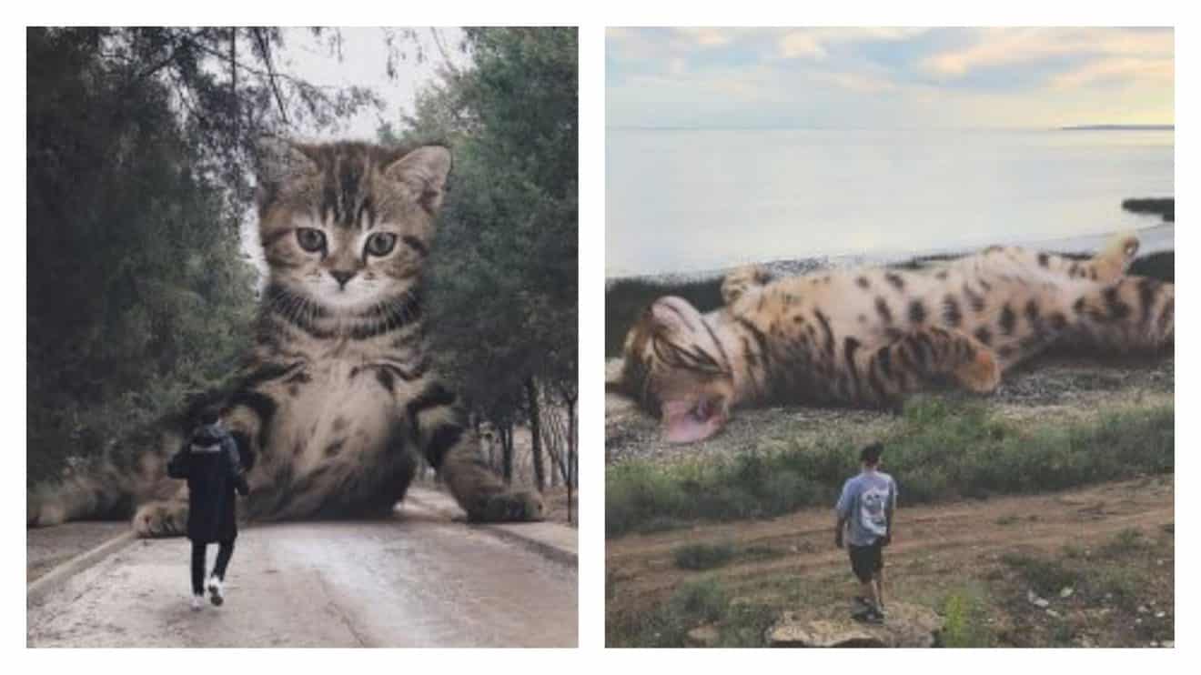 Cet artiste russe imagine à quoi ressemblerait le monde si les chats ...