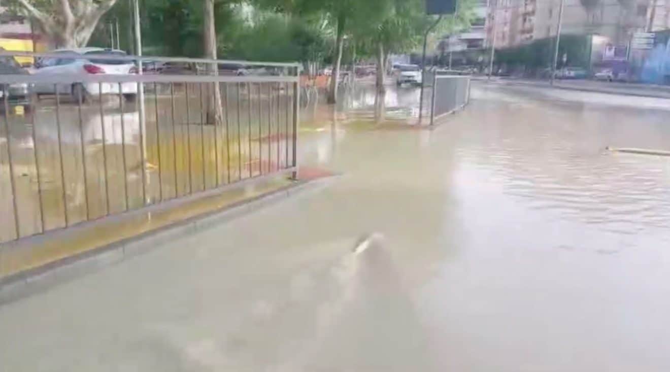 Un poisson traverse la rue pendant les inondations en Espagne (vidéo)