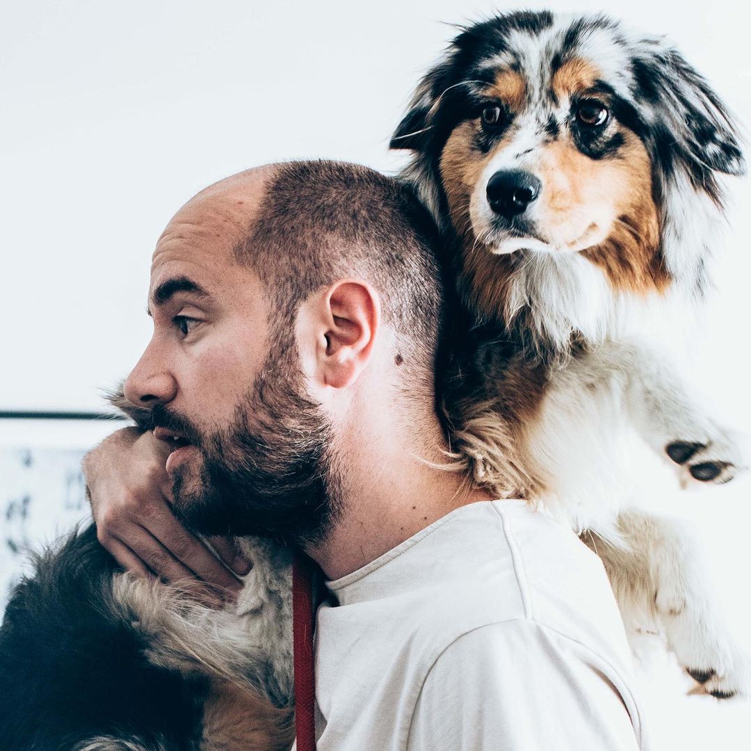 Découvrez ces 25 stars toujours accompagnées de leurs magnifiques ...