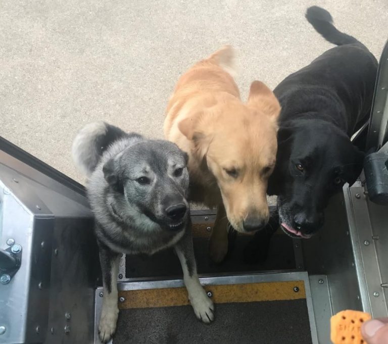 Ce groupe rend hommage à tous les chiens qui rendent visite aux ...