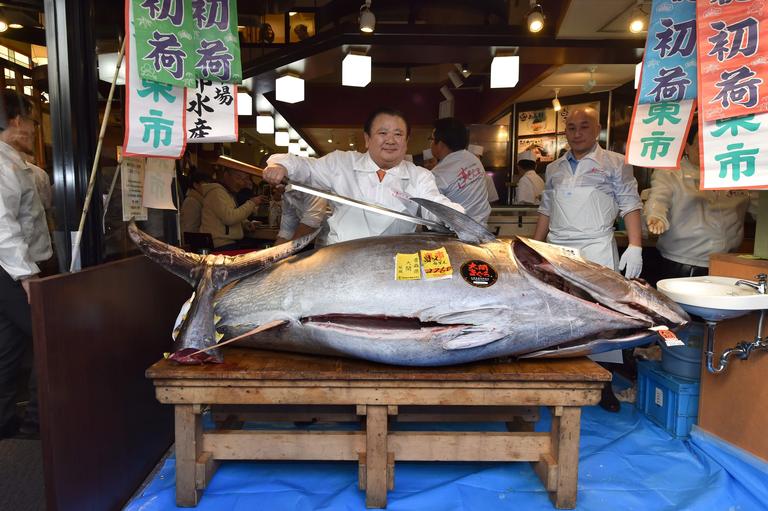 Japon : un restaurateur achète un thon géant à un prix exorbitant (Vidéo)