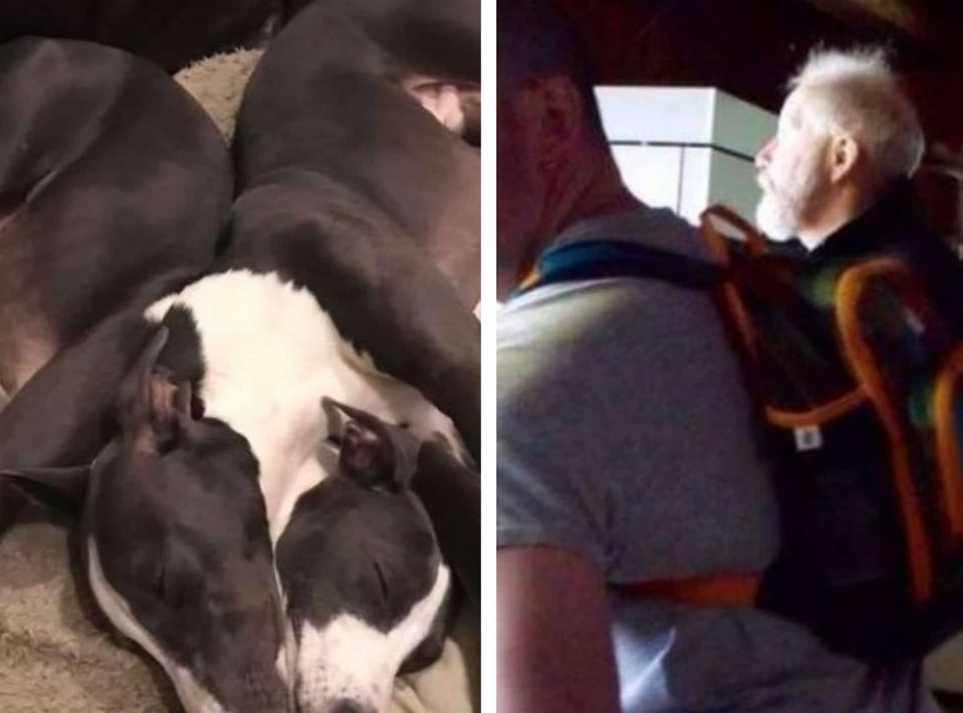 40 photos insolites qu'il faut regarder deux fois avant de les ...