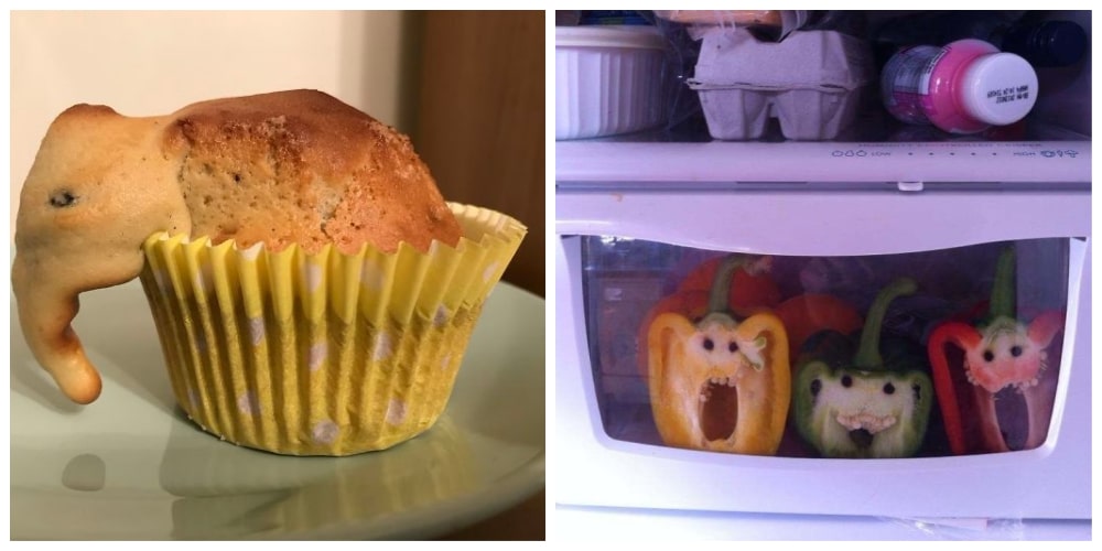 30 photos où les objets veulent nous faire passer un message