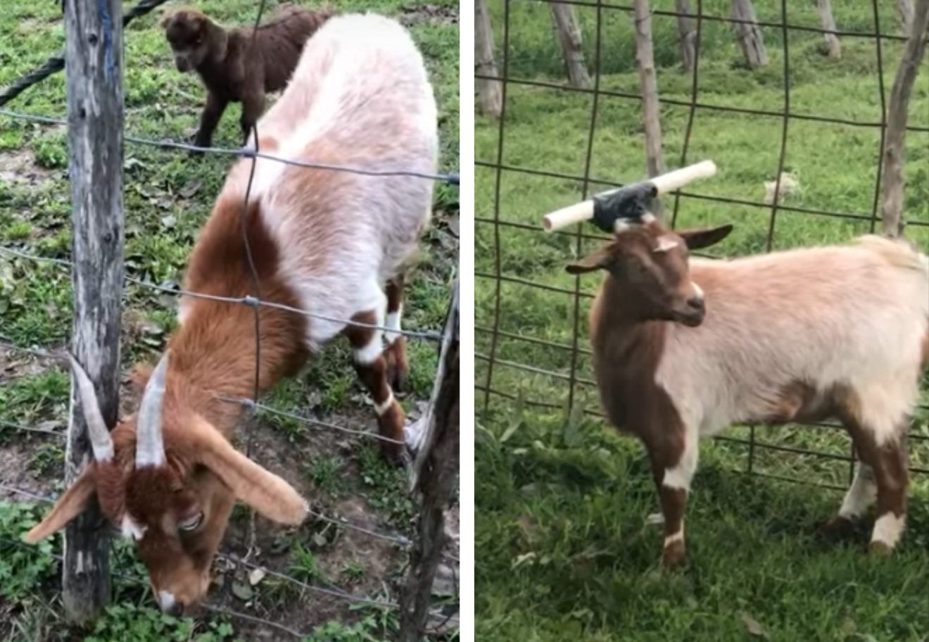 Le top 20 des meilleurs mèmes pour bien débuter le mois de mai