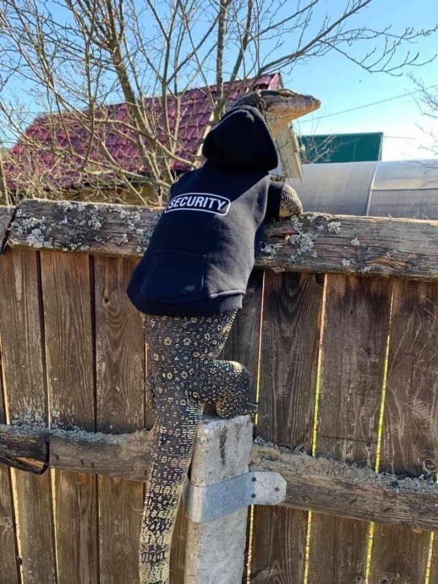 Découvrez 50 photos complètement incompréhensibles où on a juste envie ...