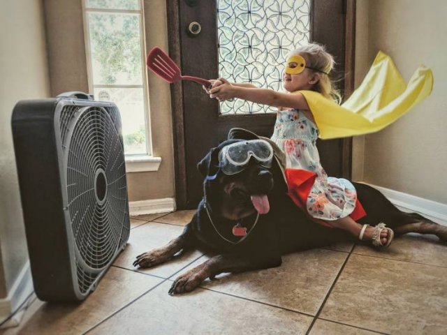 Découvrez 50 photos complètement incompréhensibles où on a juste envie ...