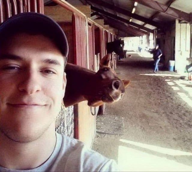 Découvrez 50 photos complètement incompréhensibles où on a juste envie ...