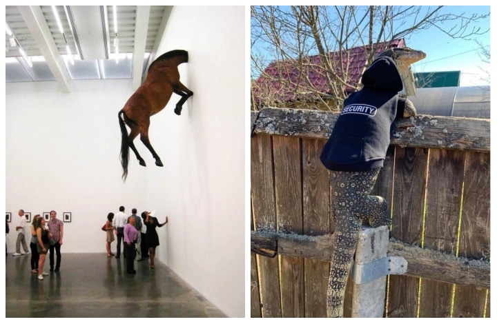 Découvrez 50 photos complètement incompréhensibles où on a juste envie ...