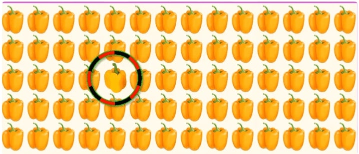 Si vous trouvez l'intrus sur les 4 images, en moins de 10 secondes ...