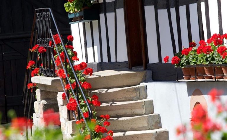 Le jeu du rond a 18 ans... et découvrez dans quelle série il a été ...