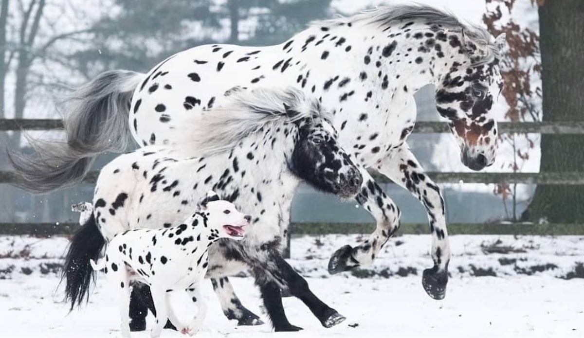 Top 100 des meilleures blagues drôles