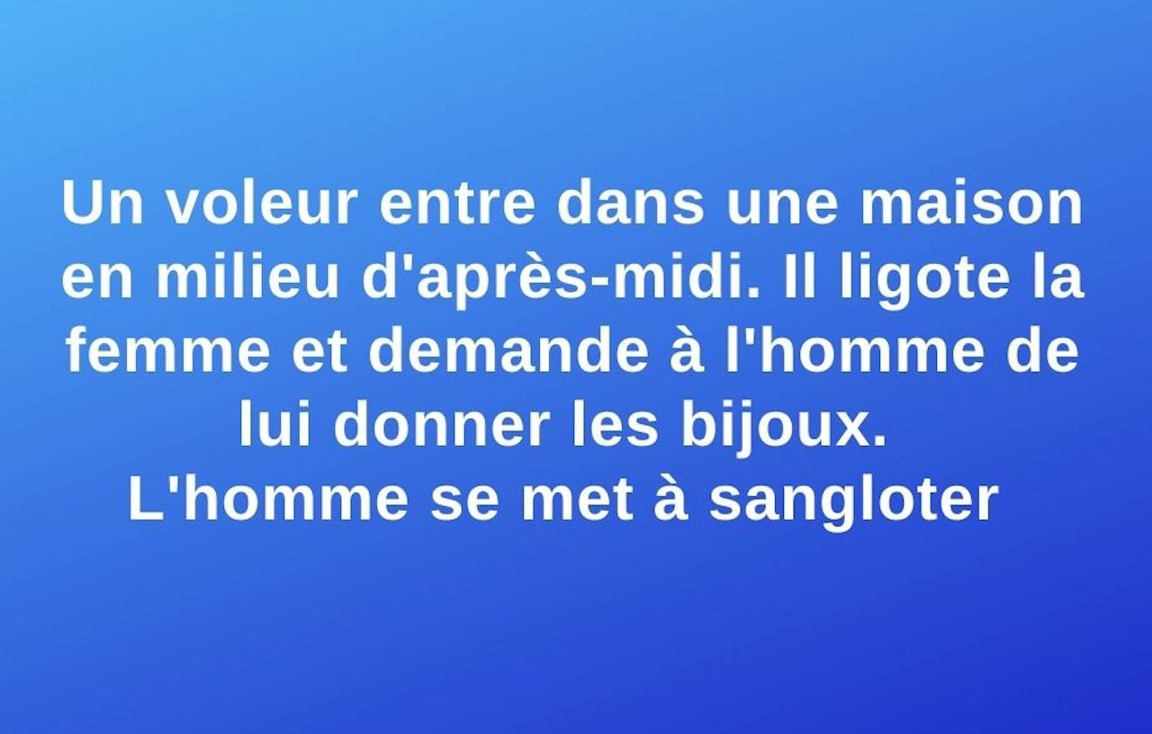 Blague du jour : Un voleur entre dans une maison en milieu d'après-midi