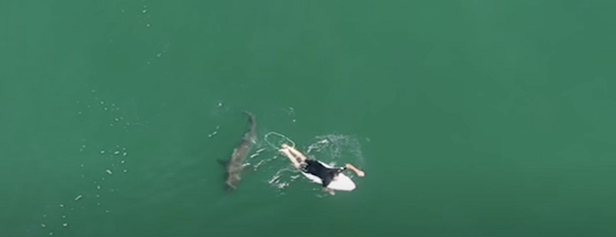 Les images glaçantes d'un surfeur qui échappe de peu à une attaque de ...