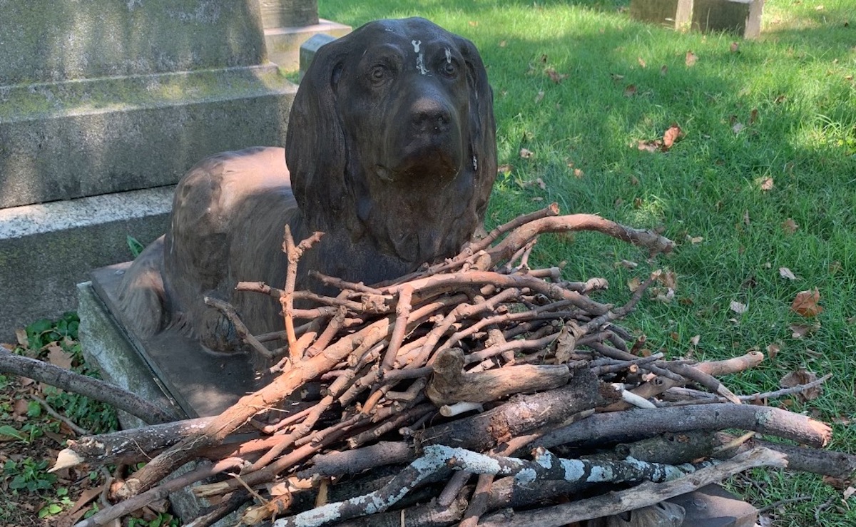 Dans un cimetière, des gens viennent rendre hommage à un chien décédé ...