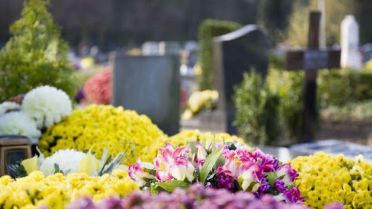 Le magnifique geste de ce pépiniériste pour les défunts oubliés de la ...