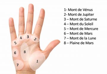 Lignes de la main : apprenez à les lire et découvrez leur signification