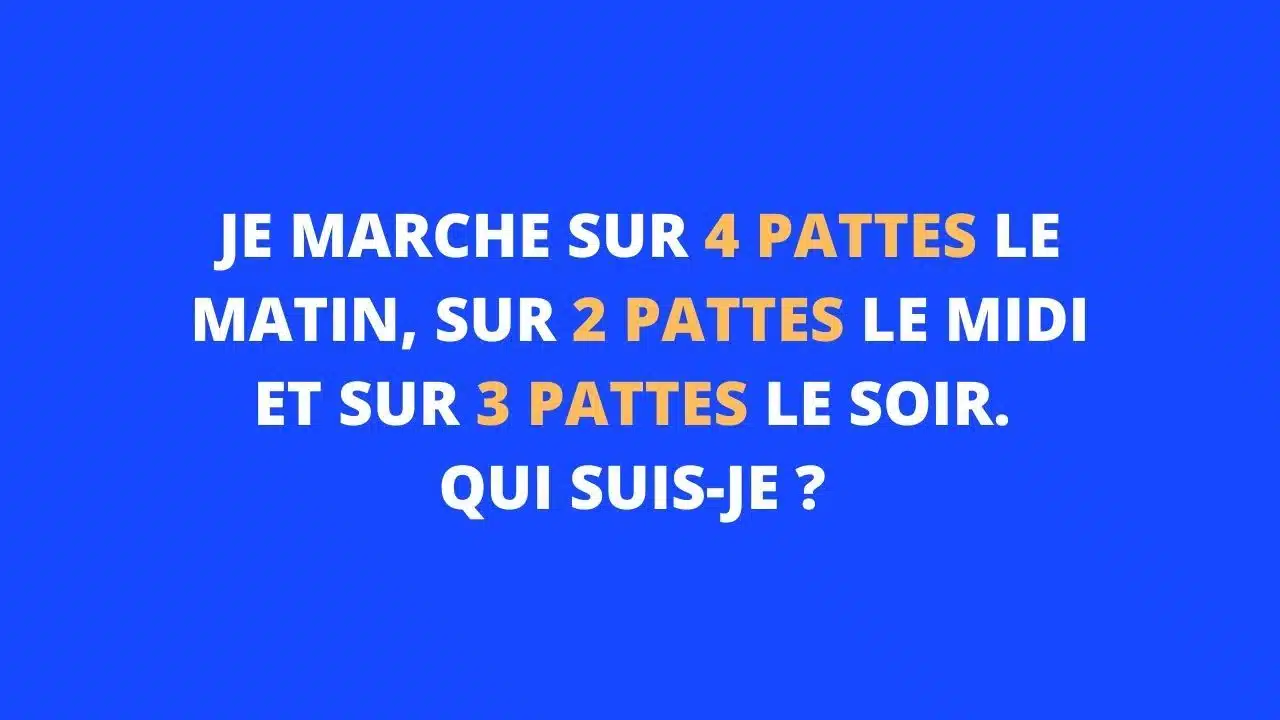 Enigme du jour : Saurez-vous trouver l'incohérence dans l'image