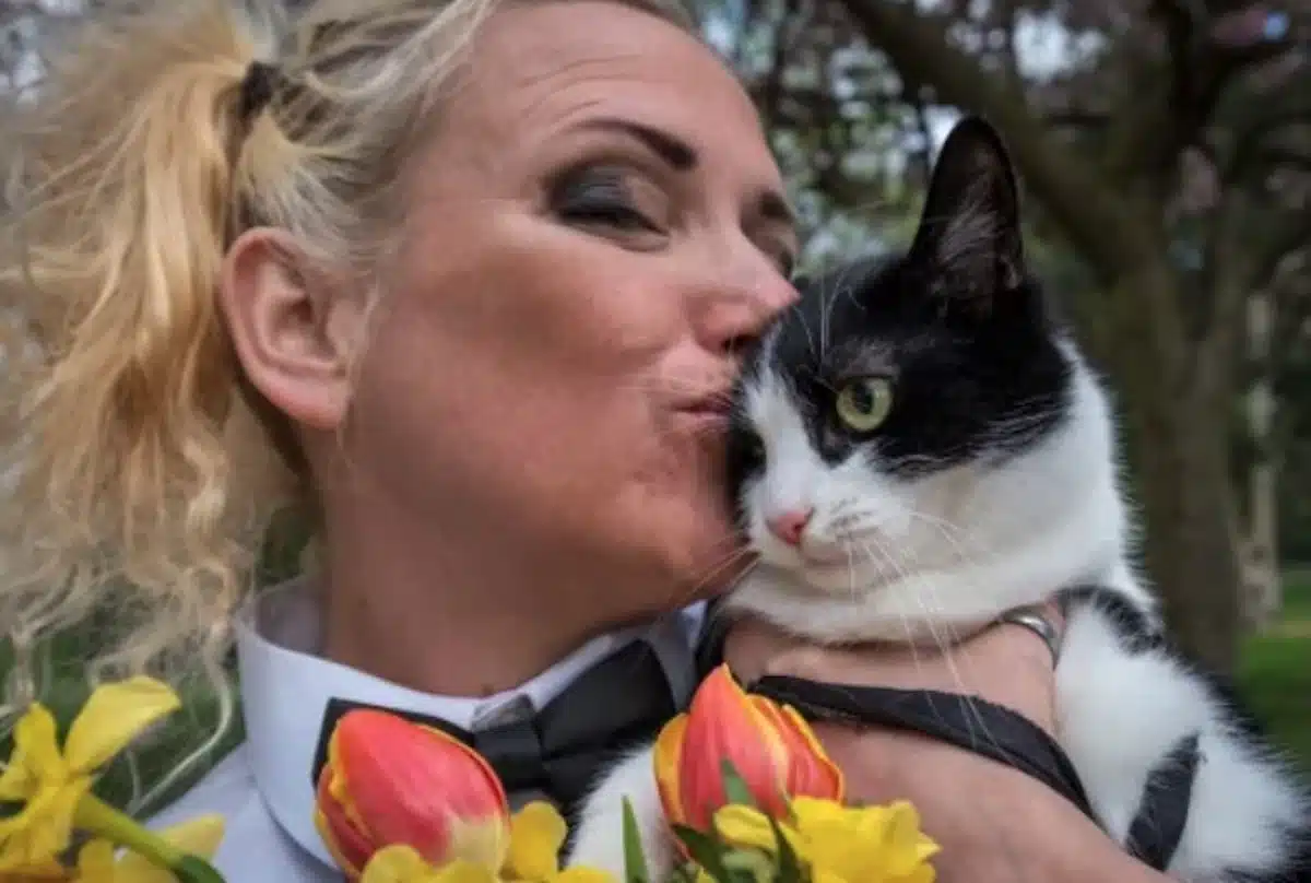 TOP 10 des "Toc Toc Toc - qui est là ?" les plus drôles