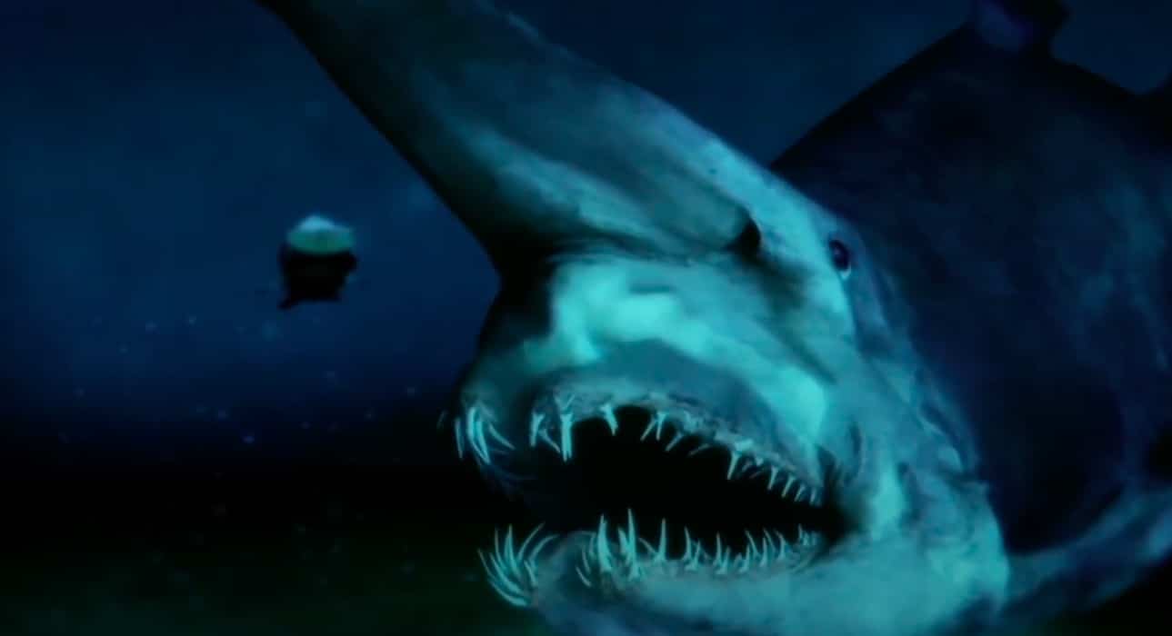 20 animaux à l'apparence vraiment étrange - Page 10 sur 11