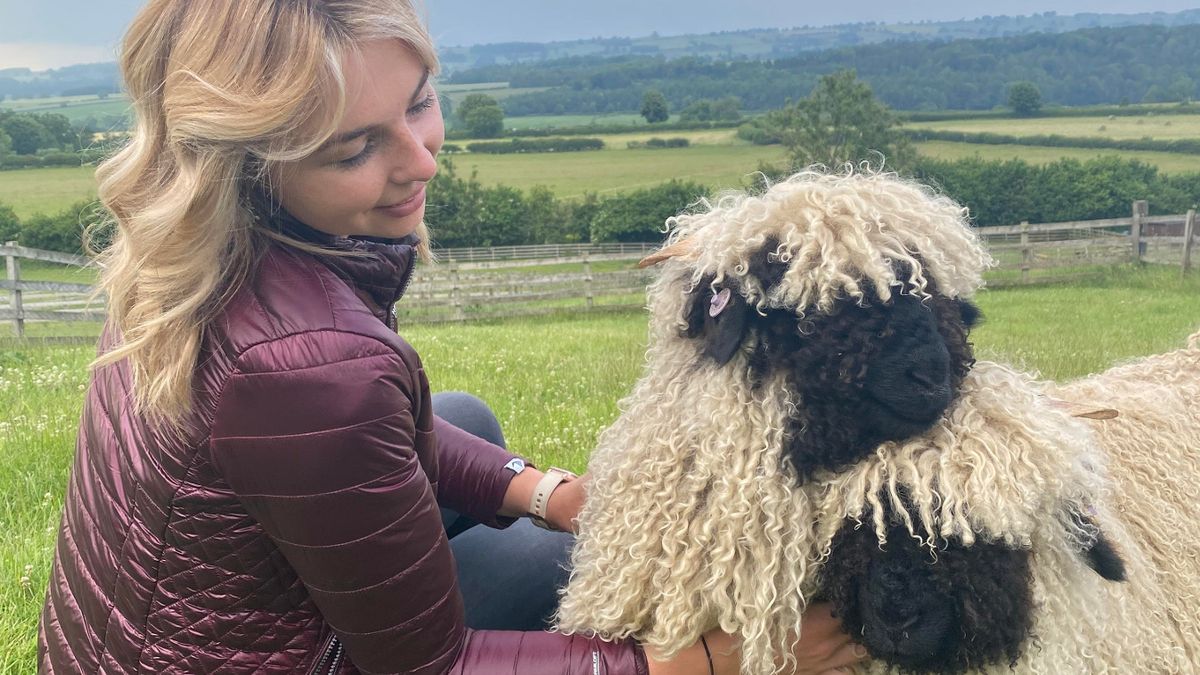 La Mouton thérapie : une femme de 25 ans combat son cancer avec des moutons