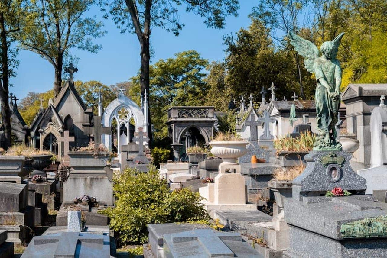 Des renardeaux surpris en train de bronzer au cimetière du Père-Lachaise