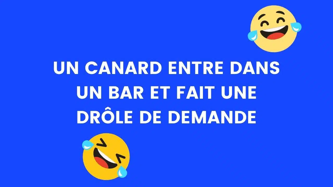 Blague du jour : Un garçon rencontre une fille facile