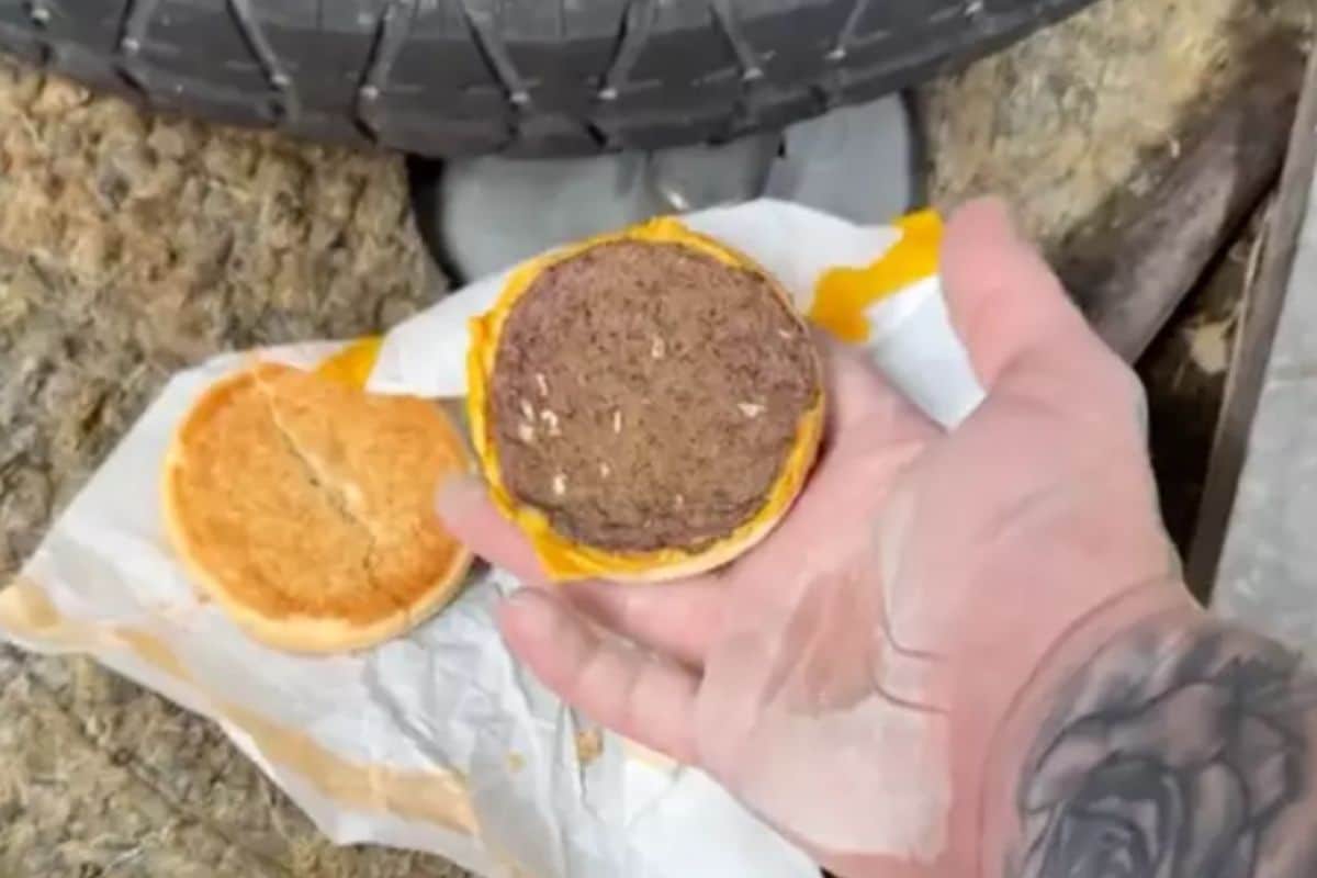 Il retrouve un burger McDo laissé 12 ans dans sa voiture, découvrez ce ...