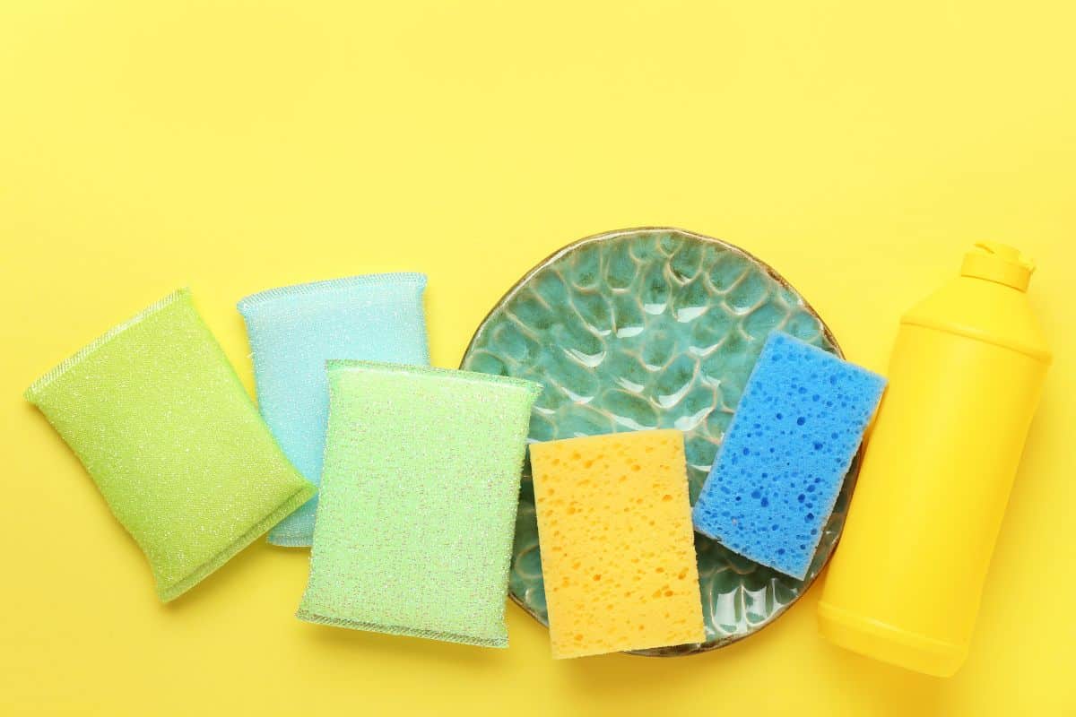 Couleur éponges : Guide complet des différentes utilisations