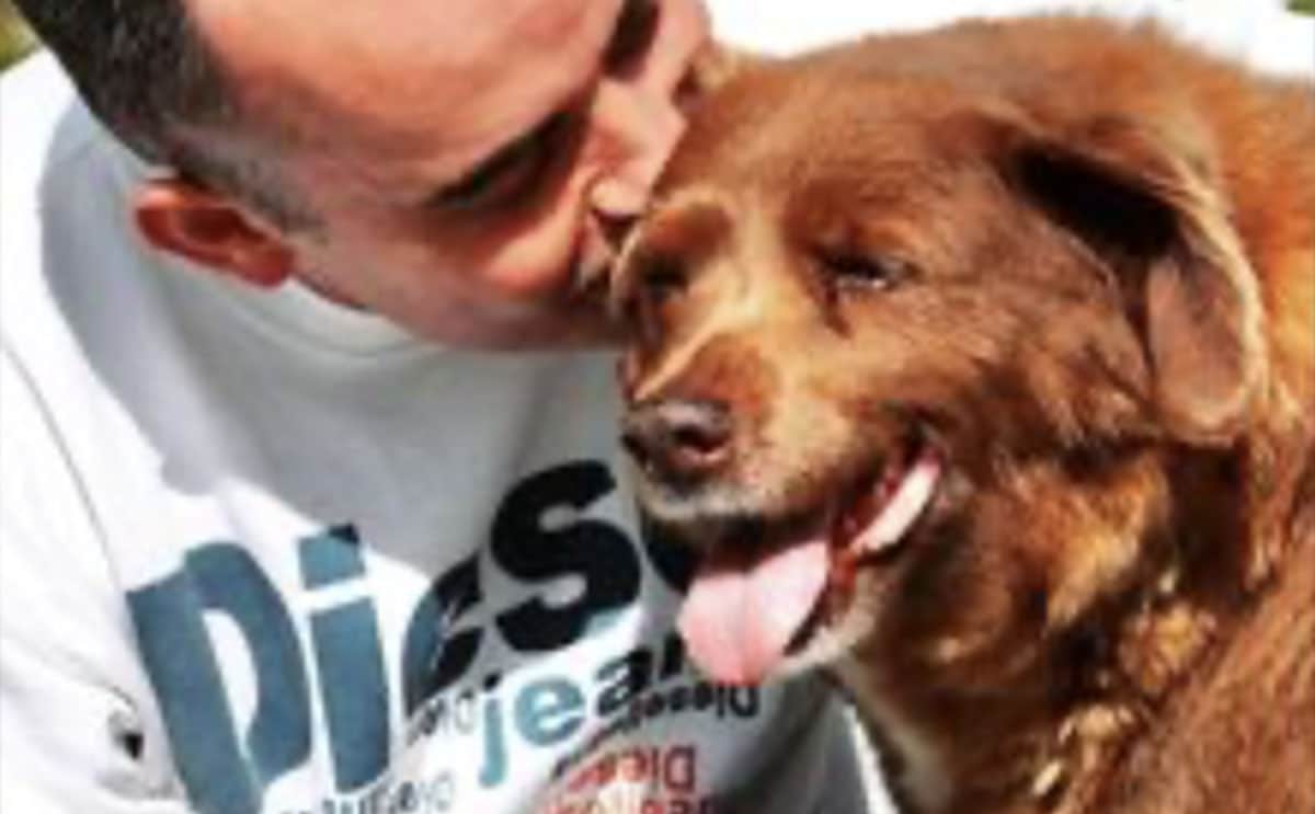Bobi, le « chien le plus vieux de tous les temps » se voit retirer son ...