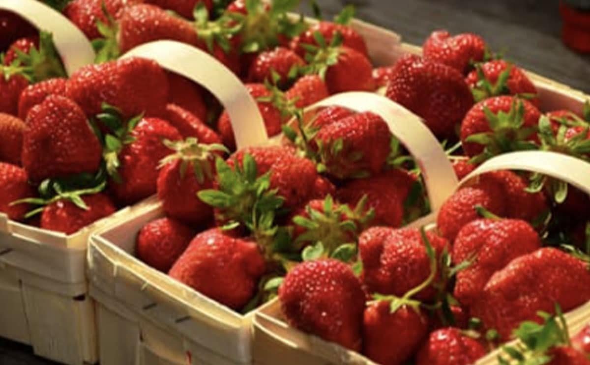 Il m’a fallu 36 ans pour découvrir que si on met des fraises dans des ...