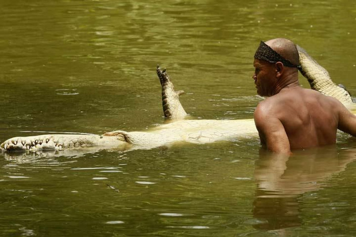 Un homme sauve un crocodile mourant et noue une relation fusionnelle ...