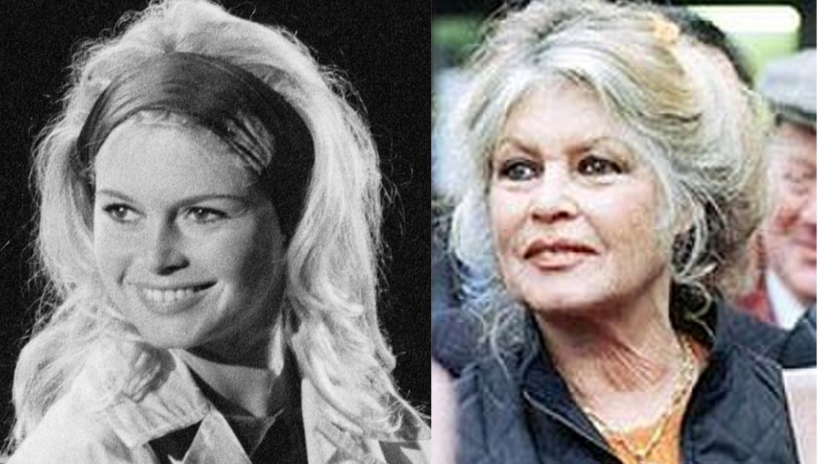 Brigitte Bardot a fêté ses 90 ans : quelle est sa fortune et qui en ...