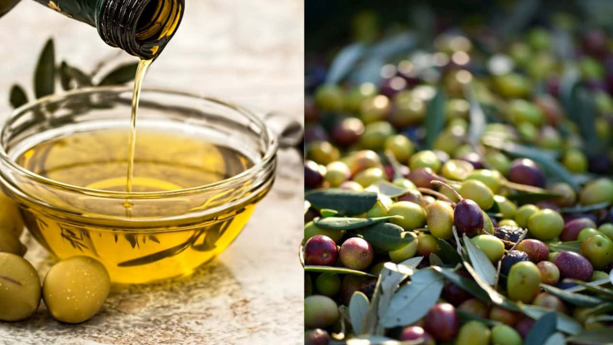 L’huile d’olive à moins de 8 euros qui fait sensation : la meilleure ...