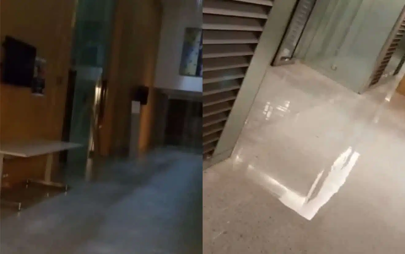 "On va chez Quick wesh ! J'ai envie d'un burger" : sa phrase est ...