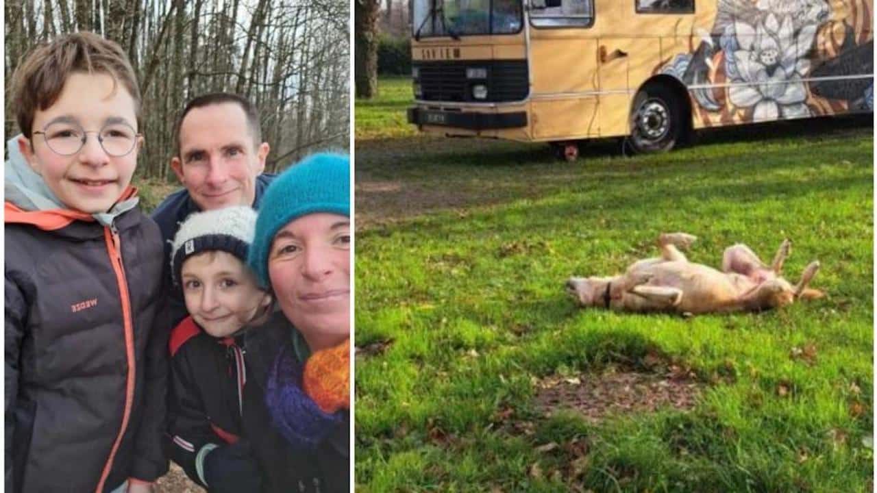 🚐 Leur road-trip vire au cauchemar après une panne de bus au bout de 80 ...
