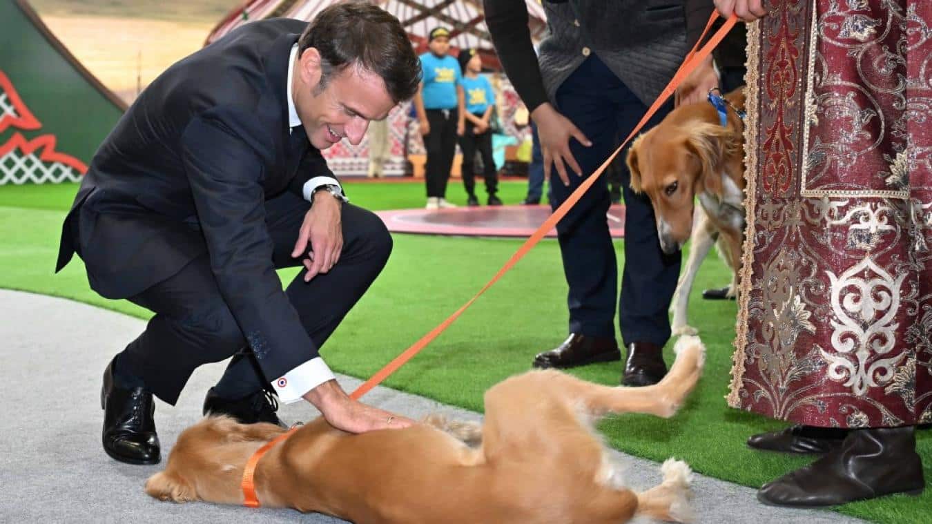 Emmanuel et Brigitte Macron prêts à avoir des bébés