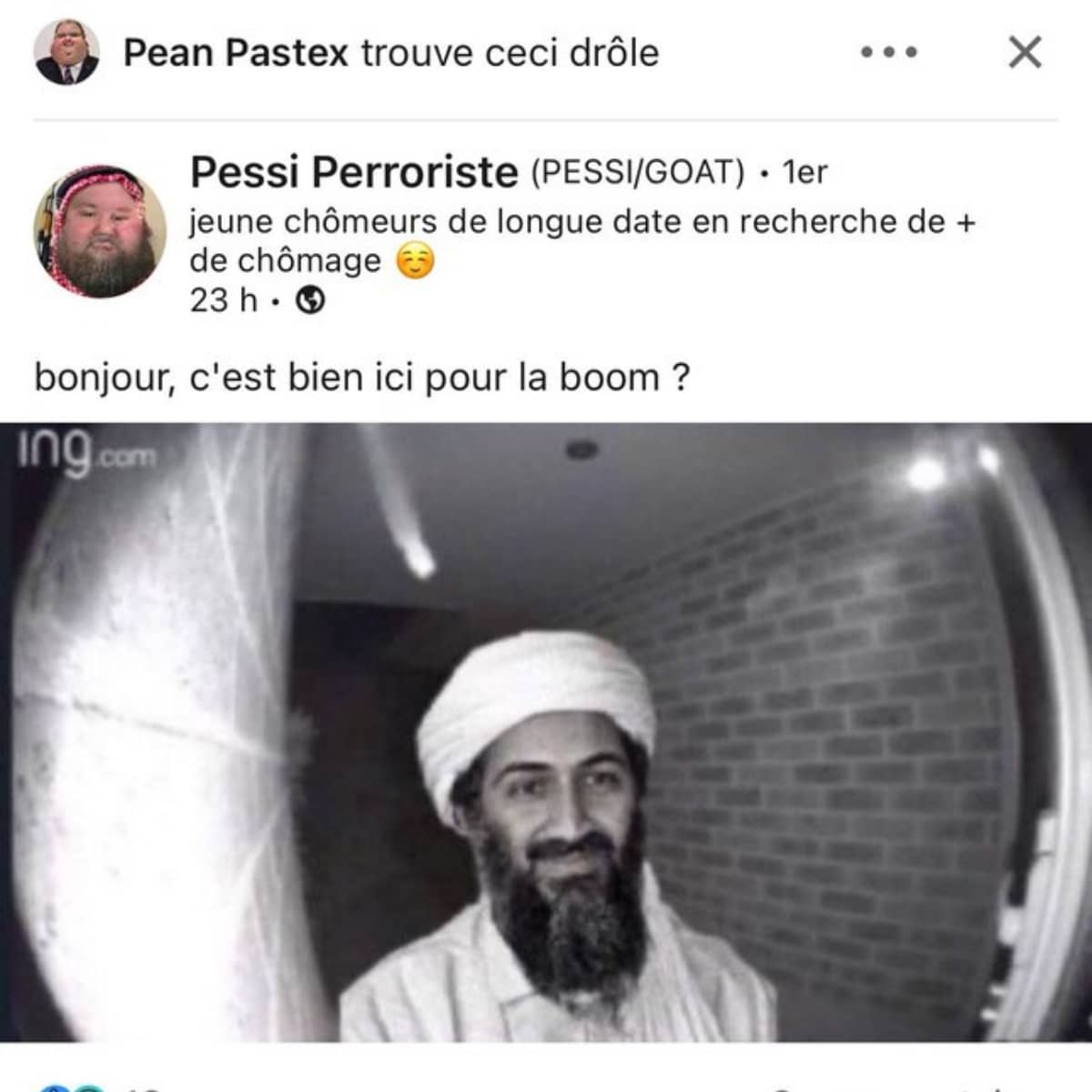 L’invasion des pessi, ces trolls de Twitter,sur LinkedIn