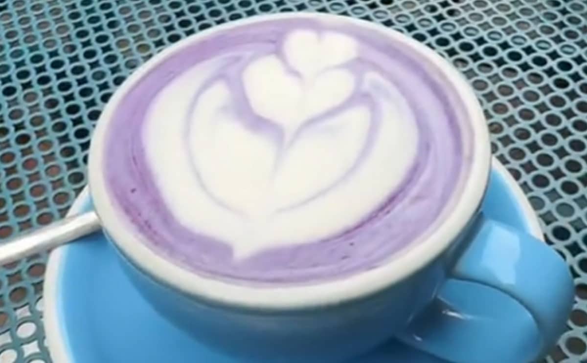 L'ube : cette nouvelle boisson tendance, qui s'apprête à détrôner le ...