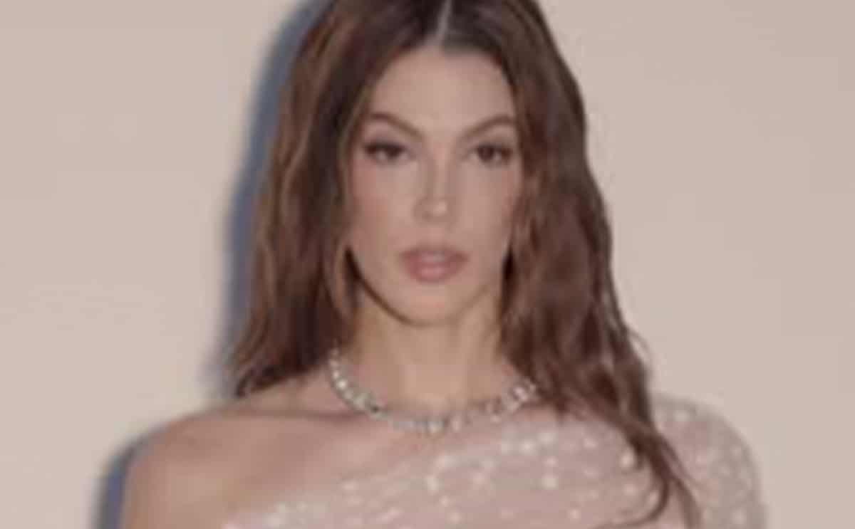 Iris Mittenaere fait monter la température avec une robe totalement transparente