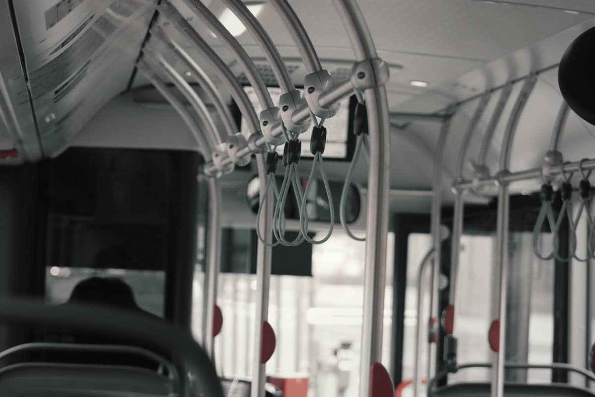 La chienne assise dans le bus fait sourire… puis alerte tout le monde