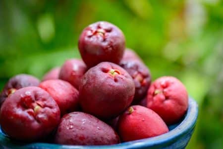 Le jambo, ce fruit tropical méconnu qui protège le cœur et prolonge la vie
