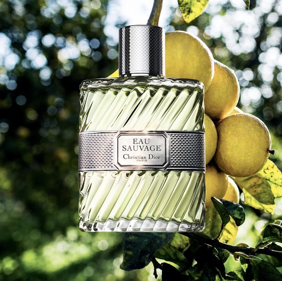Brigitte Macron : ce parfum qu'elle adore quand Emmanuel Macron n'est ...