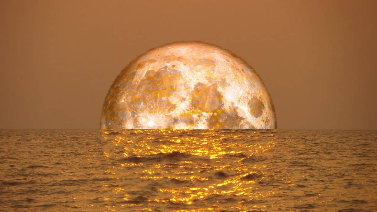 Super Lune des Moissons : la date et la signification de ce phénomène rare