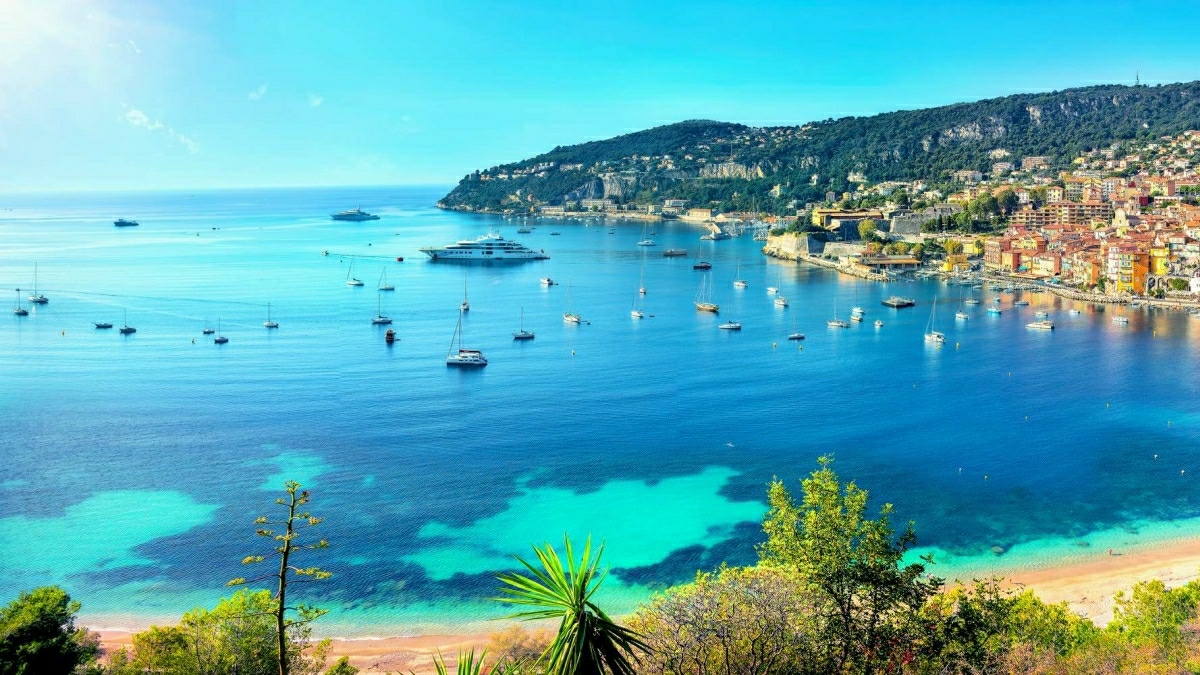 « L’ange des mers » : Un requin menacé d’extinction dans la ...