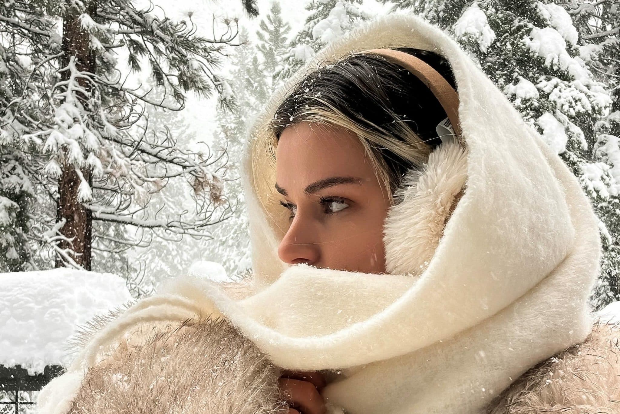 Première semaine de janvier : le froid s'éternise et la neige s'invite